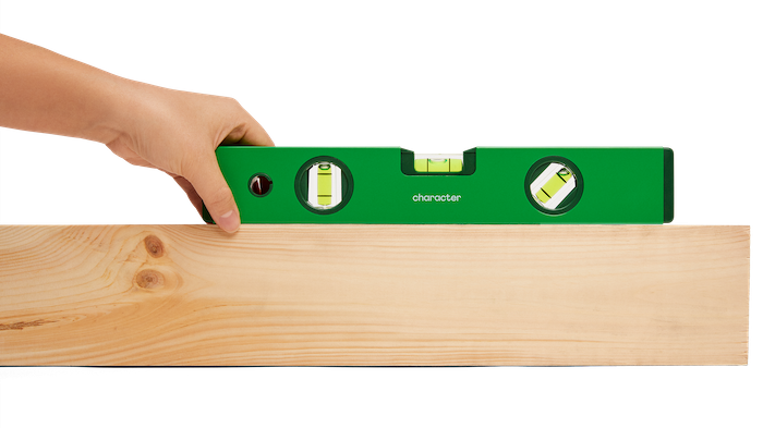 The Level – Character