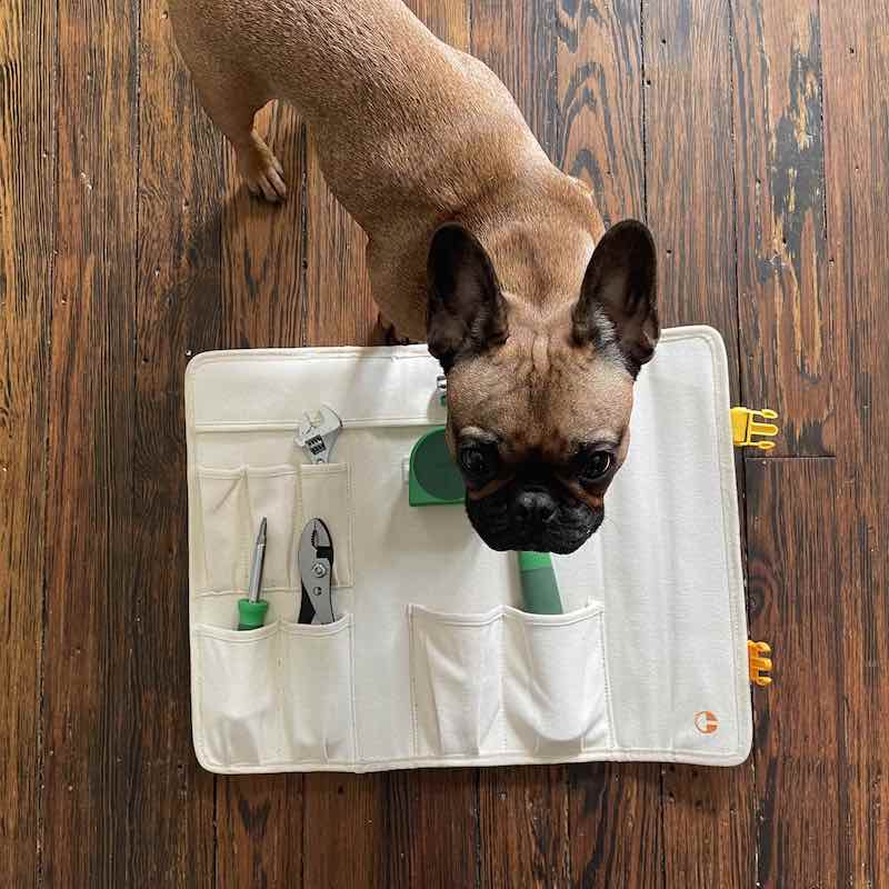 Meet the Toolbox – Character